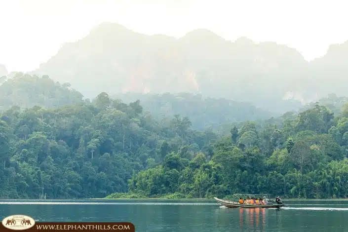 Rainforest Camp Photos - Elephant Hills, Thailand