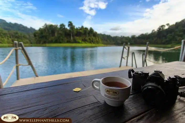 Rainforest Camp Photos - Elephant Hills, Thailand