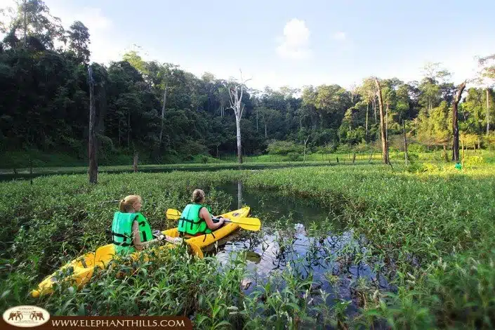 Rainforest Camp Photos - Elephant Hills, Thailand
