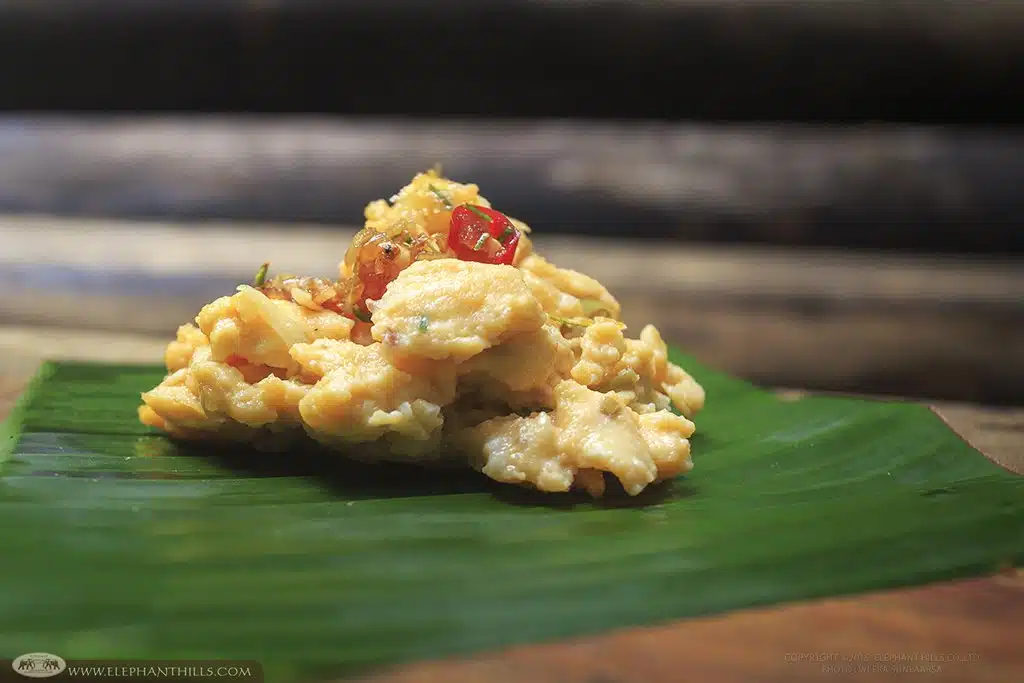 Scramble Egg - Elephant Hills, Thailand