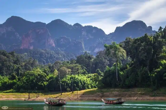 Rainforest Camp Photos - Elephant Hills, Thailand