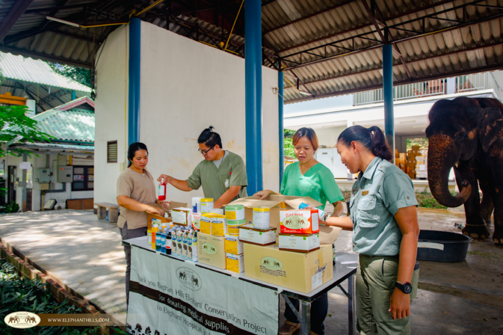 Caring For Sick Elephants At Lampang Elephant Hospital - Elephant Hills ...
