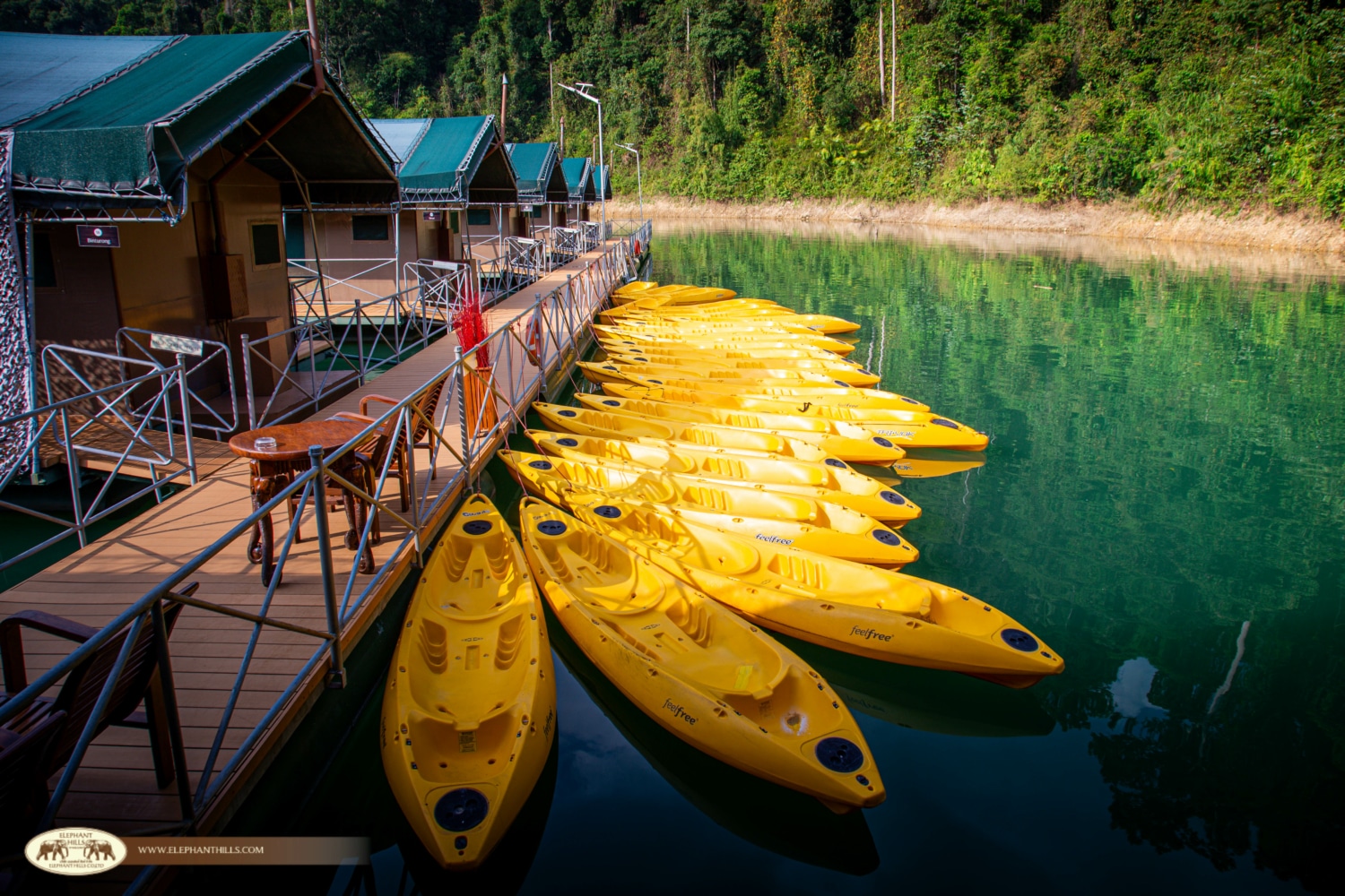 Rainforest Camp Photos - Elephant Hills, Thailand