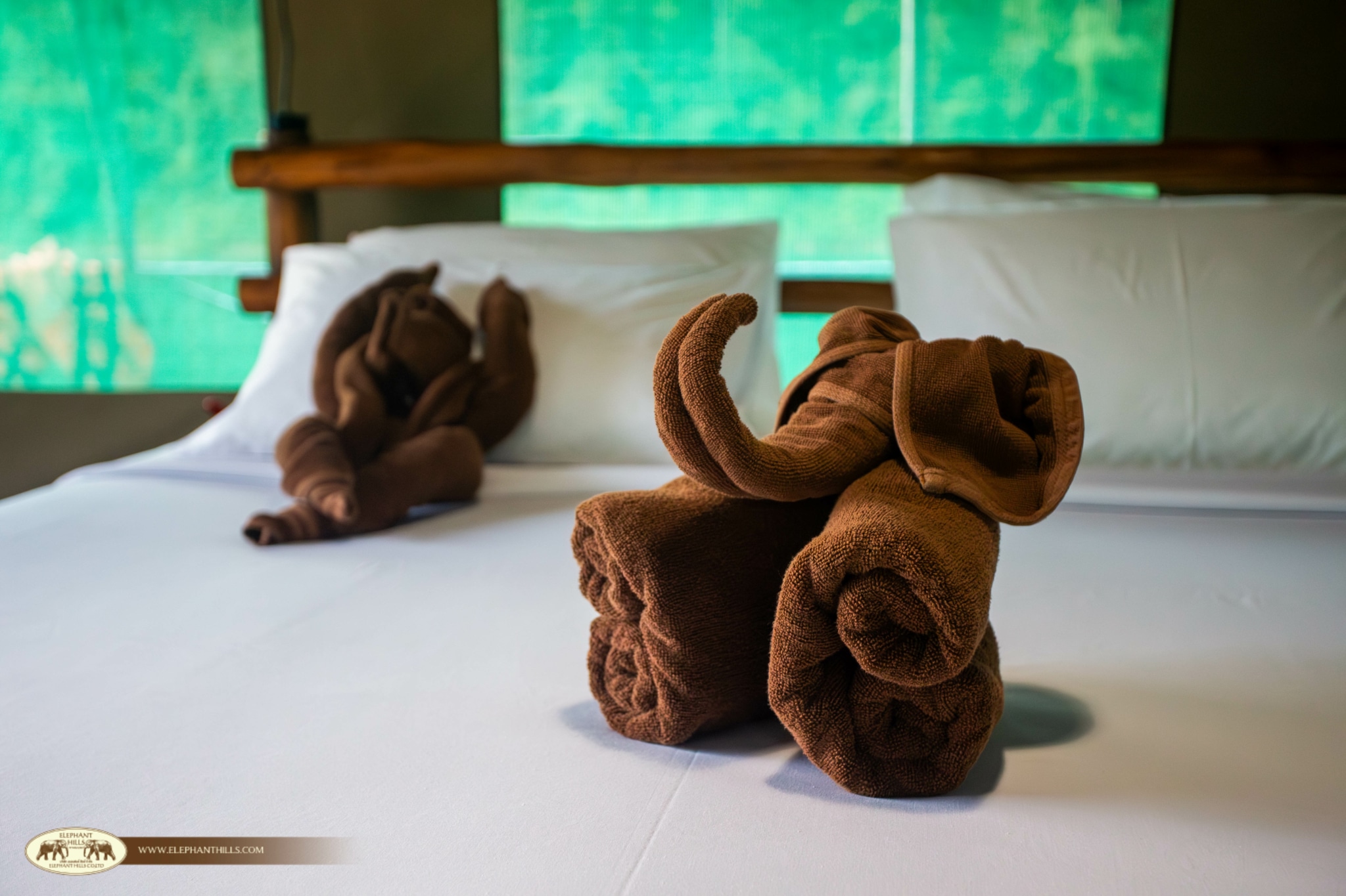 Rainforest Camp Photos - Elephant Hills, Thailand