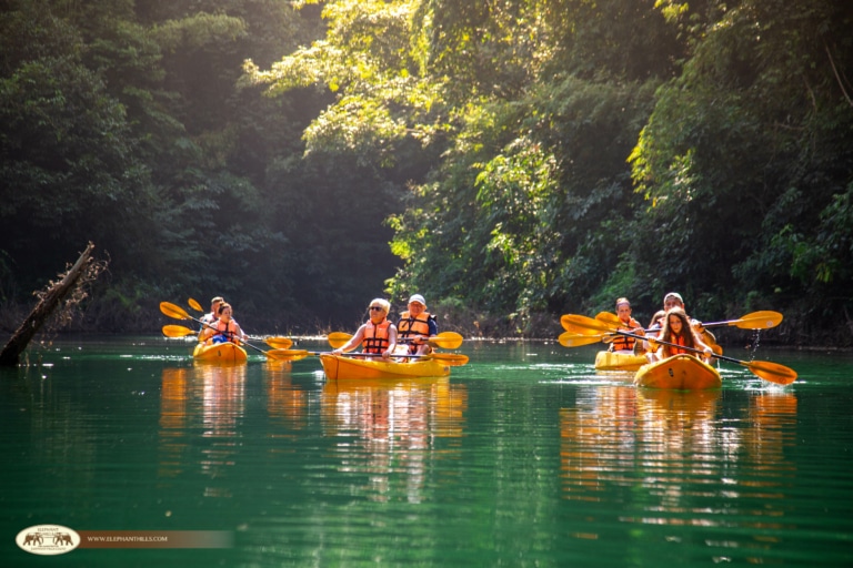 Rainforest Camp Photos - Elephant Hills, Thailand